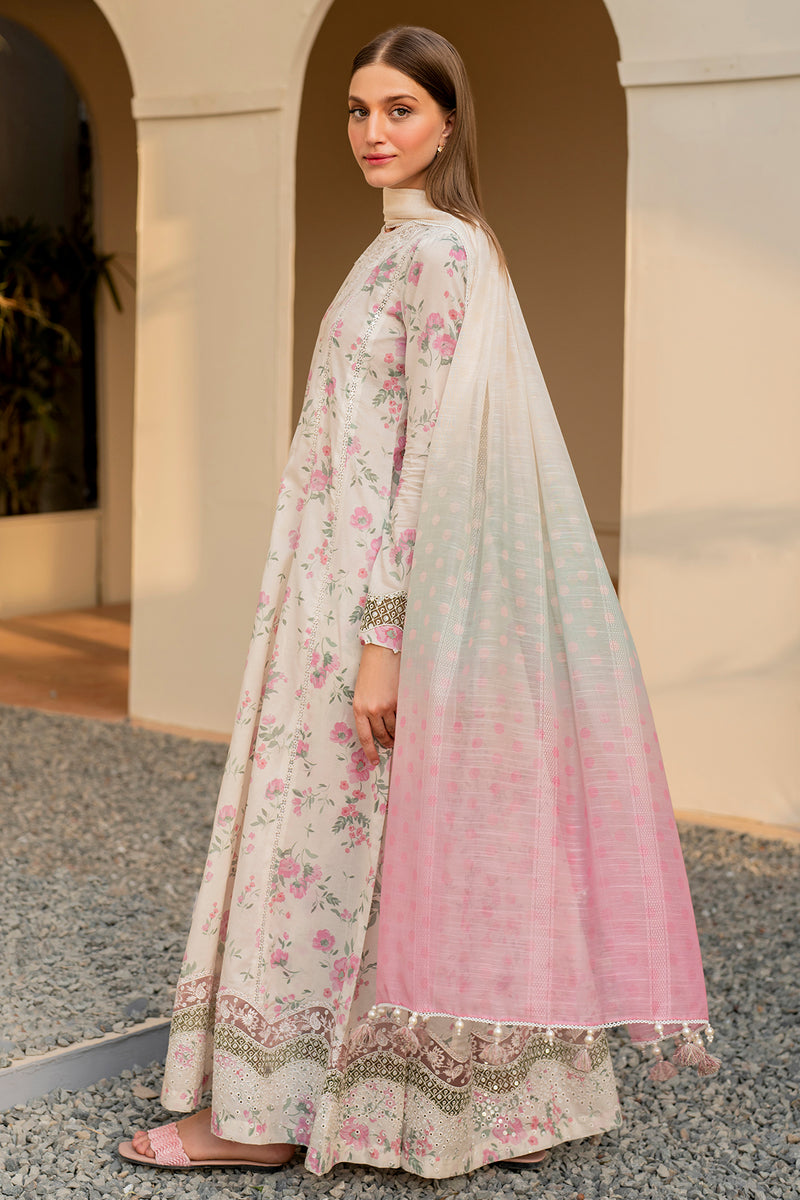 Unstitched Summer Dresses | Starting from Rs.3950 ONLY