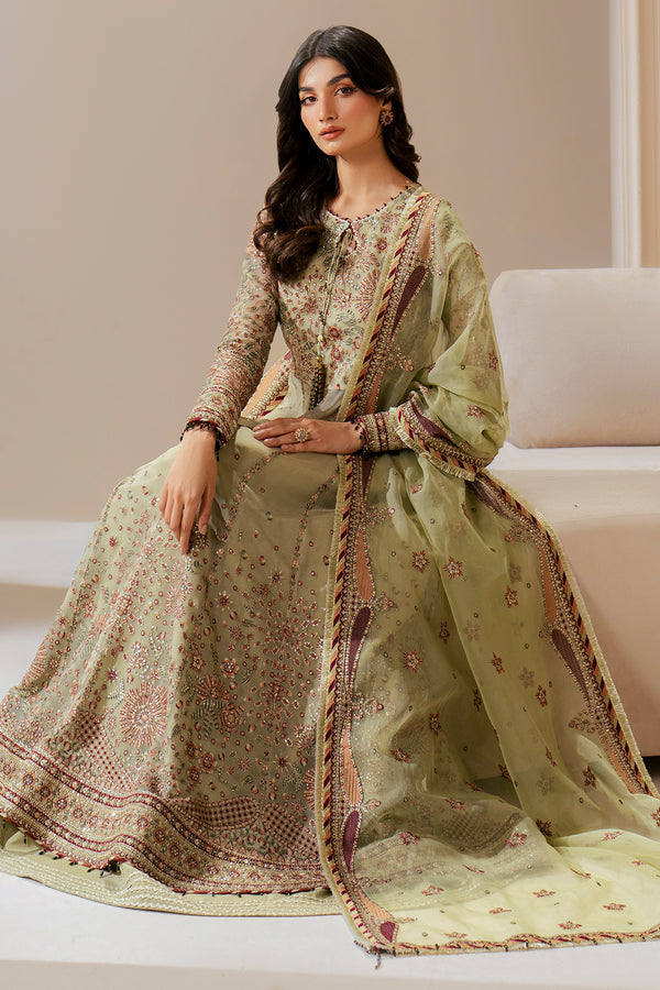 Pakistani Formal Dresses | Chiffon, Raw Silk, Net & Organza